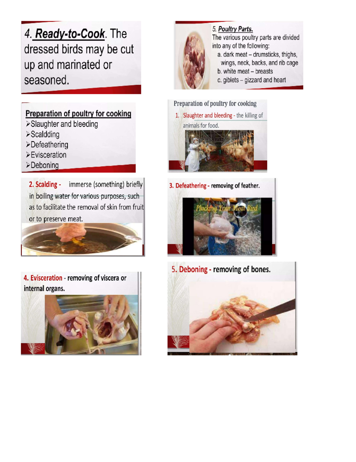 TLE 10 Notes 2 - 4. The 5. Poultry Parts. The various poultry parts are ...