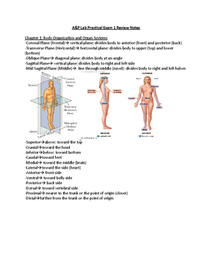 Lab Exercise 2 Review Sheet - NAME _____________________________ LAB TIME/DATE ...