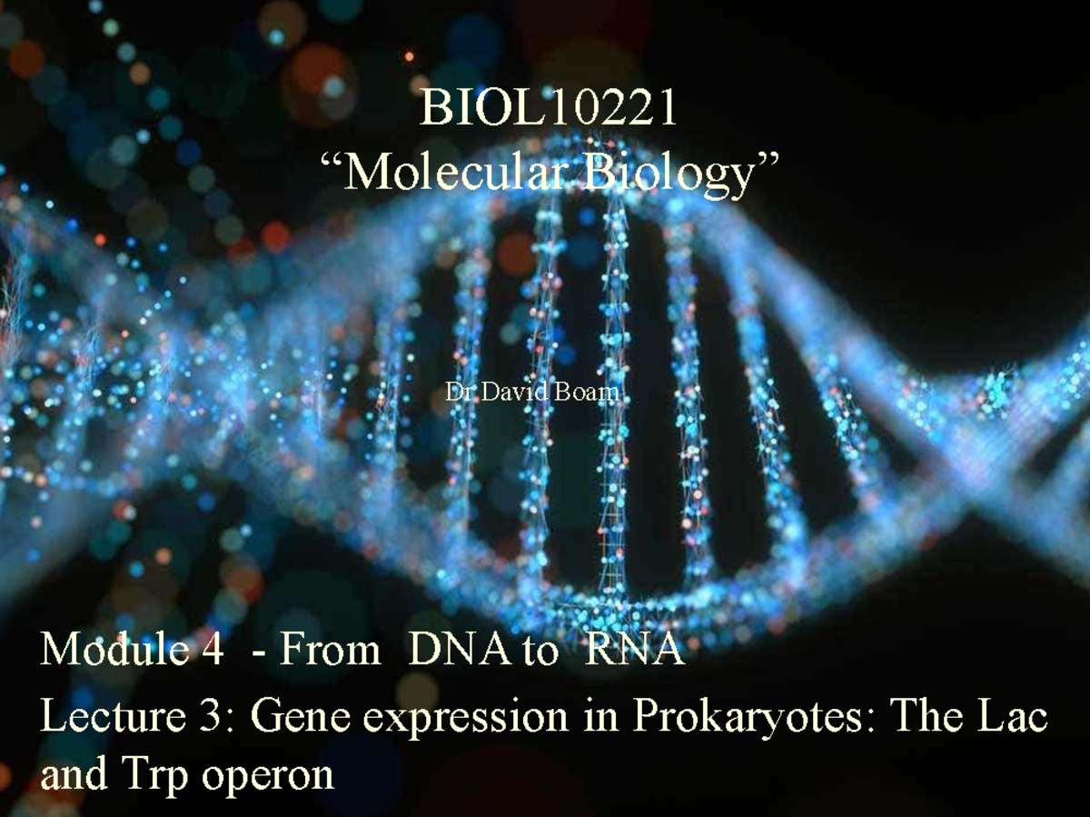 BIOL10221 Module 4 Lecture 3: Lac and Trp Operon Gene Expression - Studocu