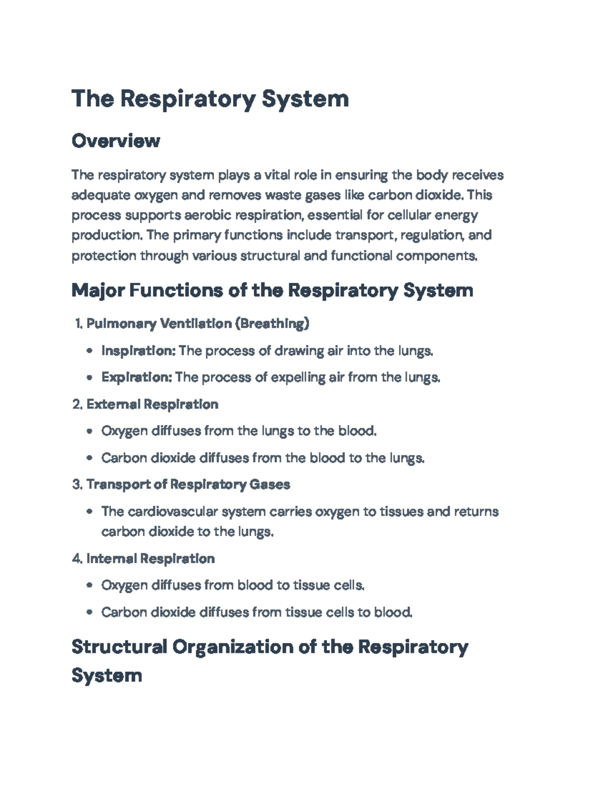 Respiratory System Overview: Structure, Functions, and Physiology - The ...