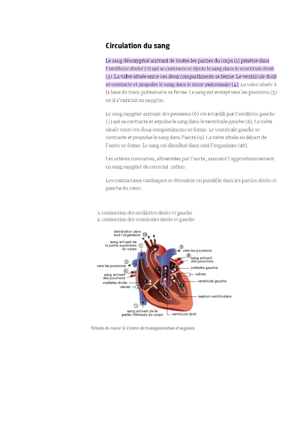 Nerf Phénique - Circulation Sanguine et Anatomie Cardiaque 712 - Studocu