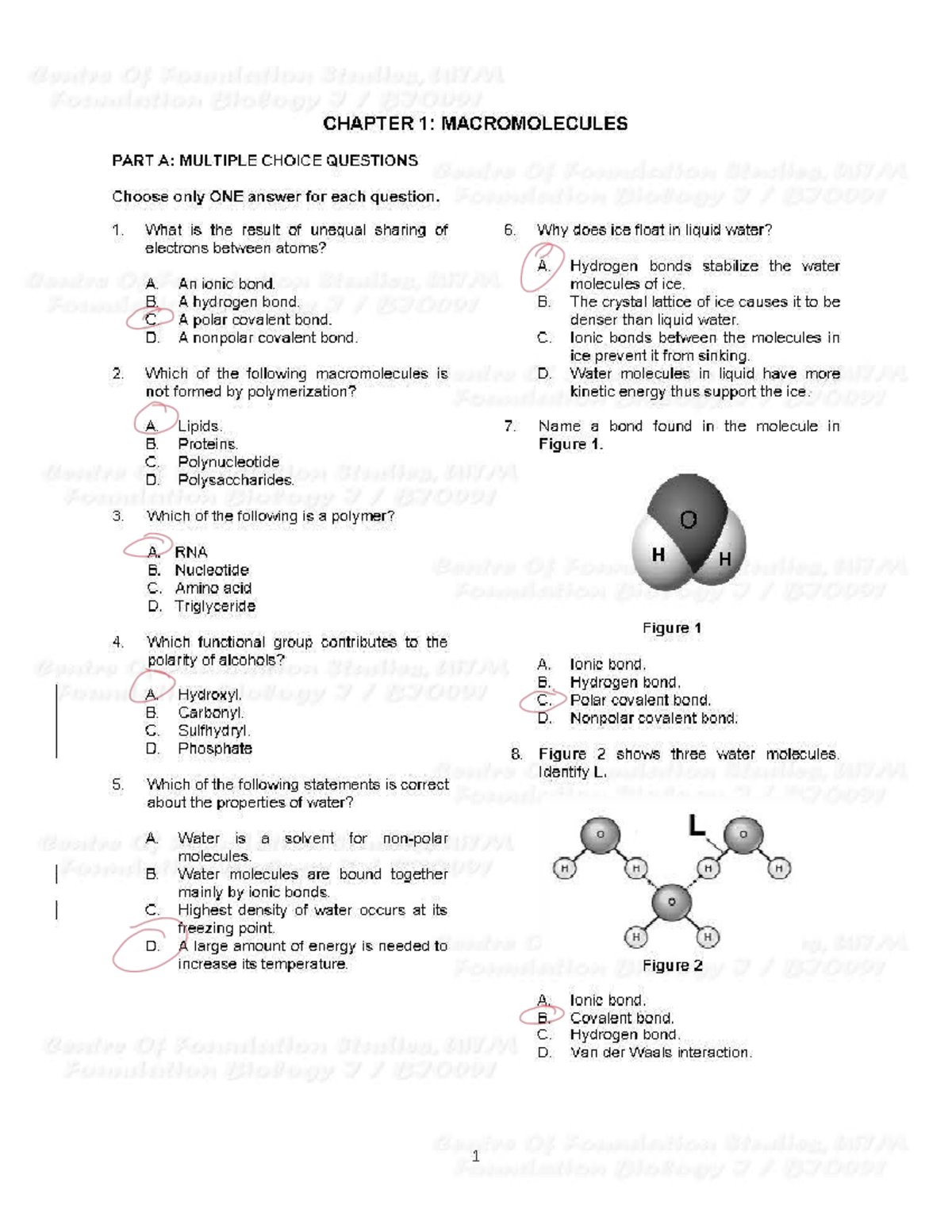 Biology 101: Macromolecules & Cell Functions - Chapter 1 MCQ & Essay ...