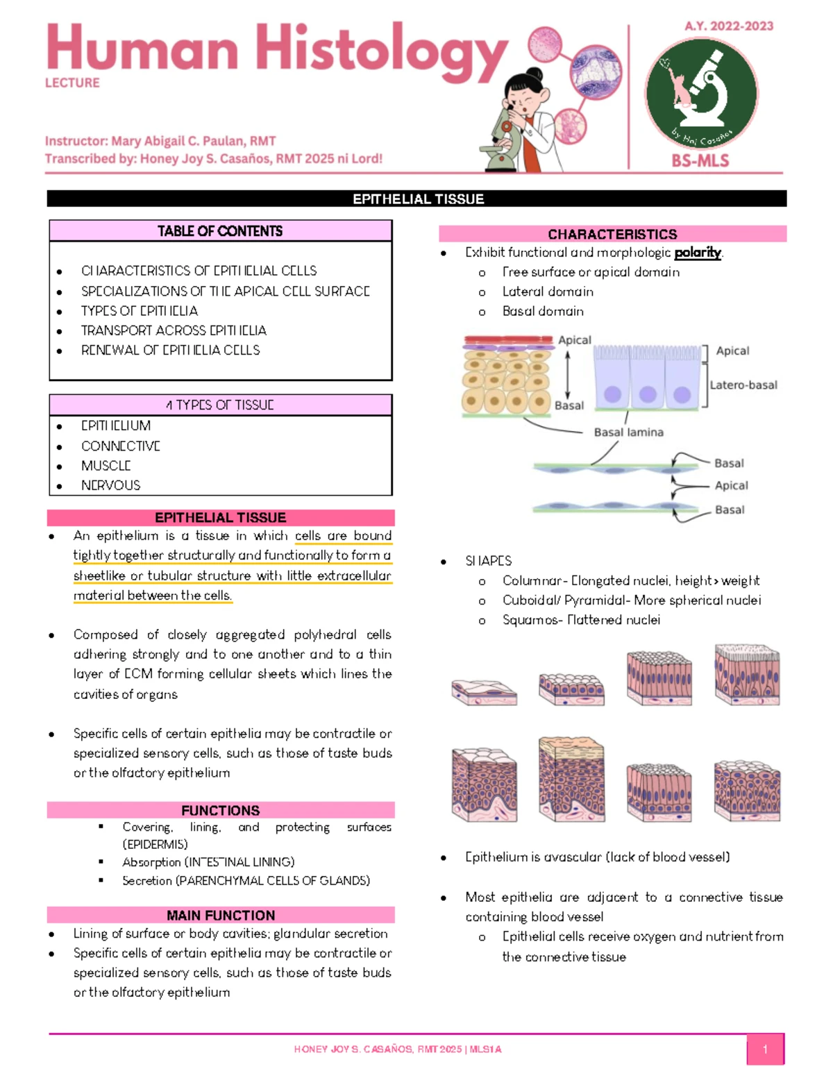 Epithelial Tissue Chart for Histology - Cell Arrangement Shape ...