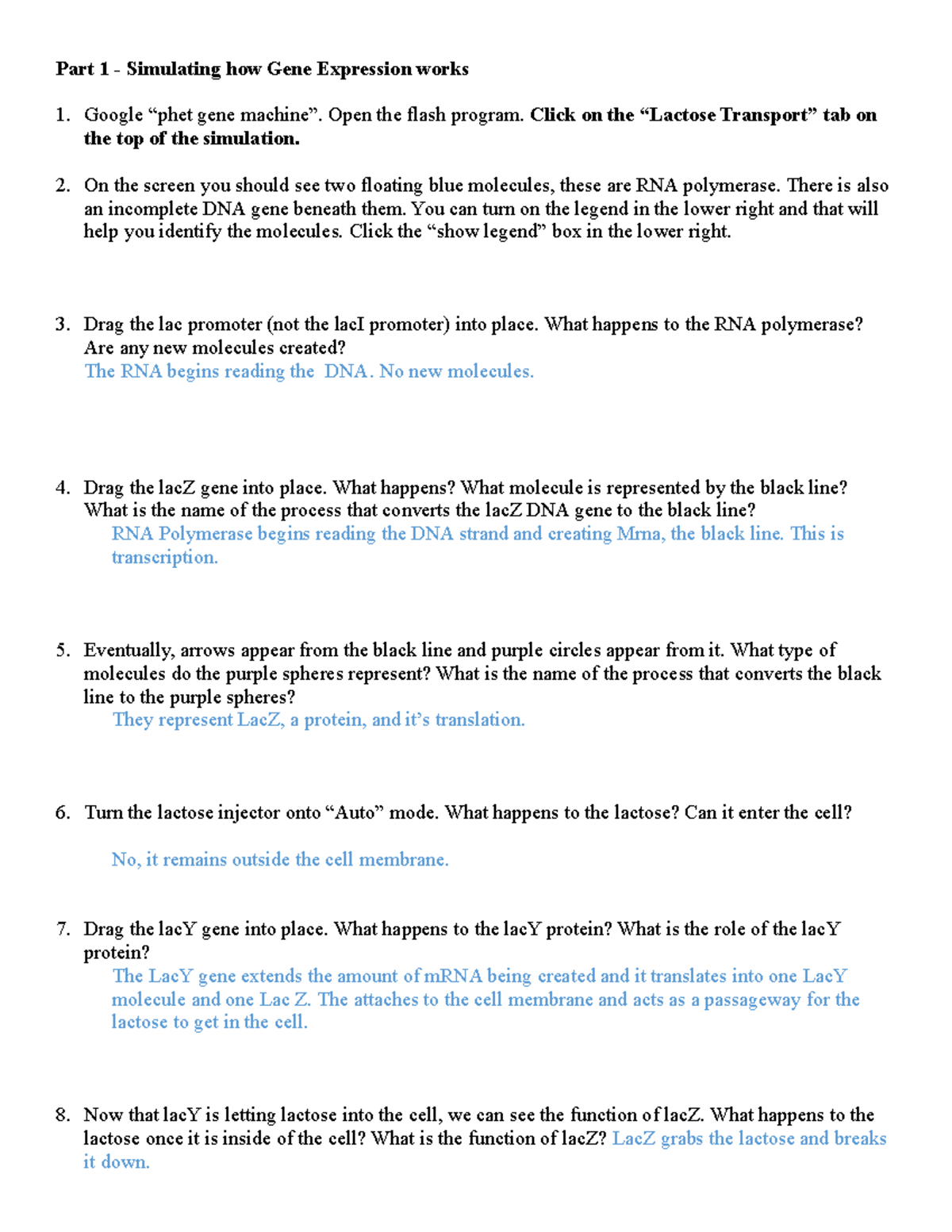 Lac operon - Guided Exploration - Blank - Part 1 - Simulating how Gene ...