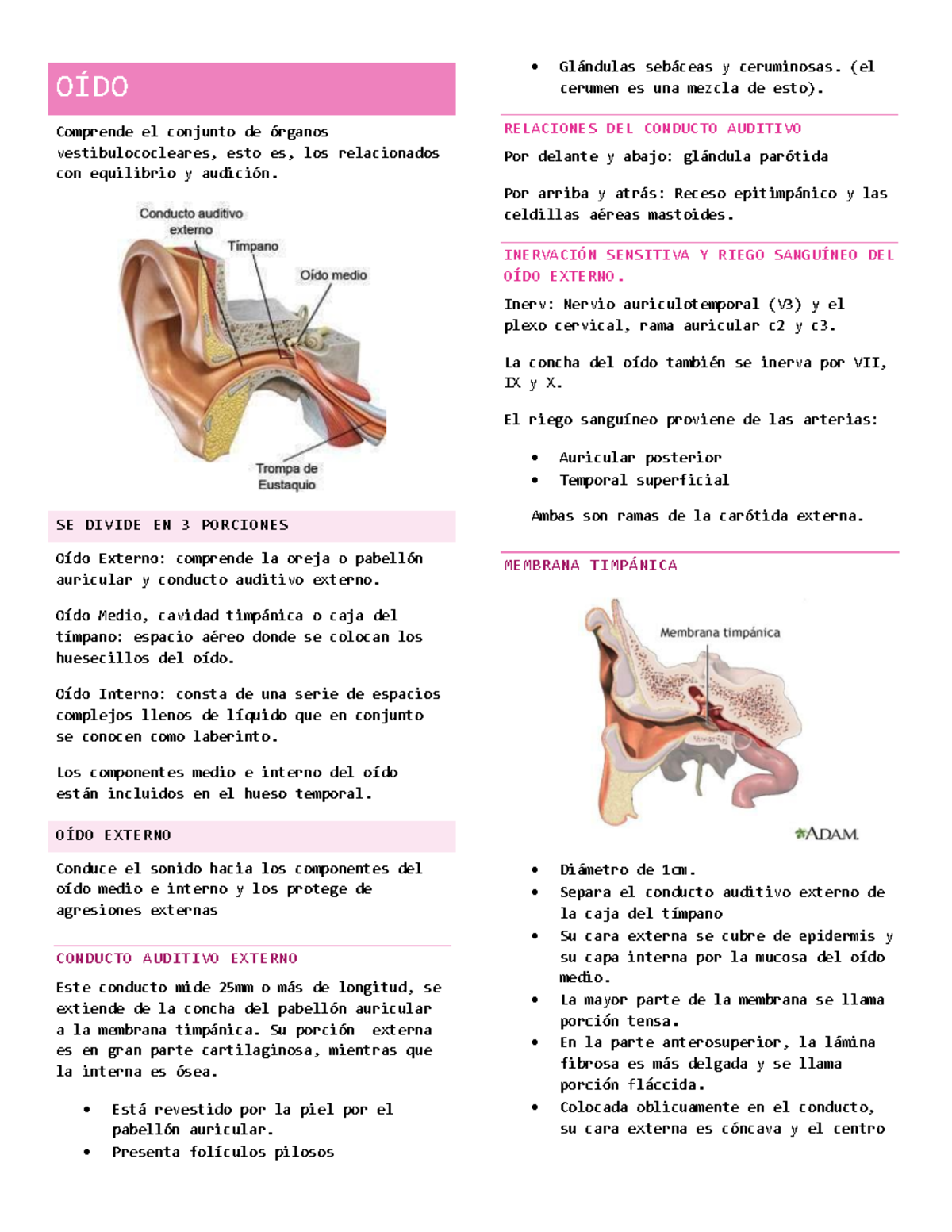 Resumen de Oído Gardner - Anatomía y Funciones del Oído - Studocu