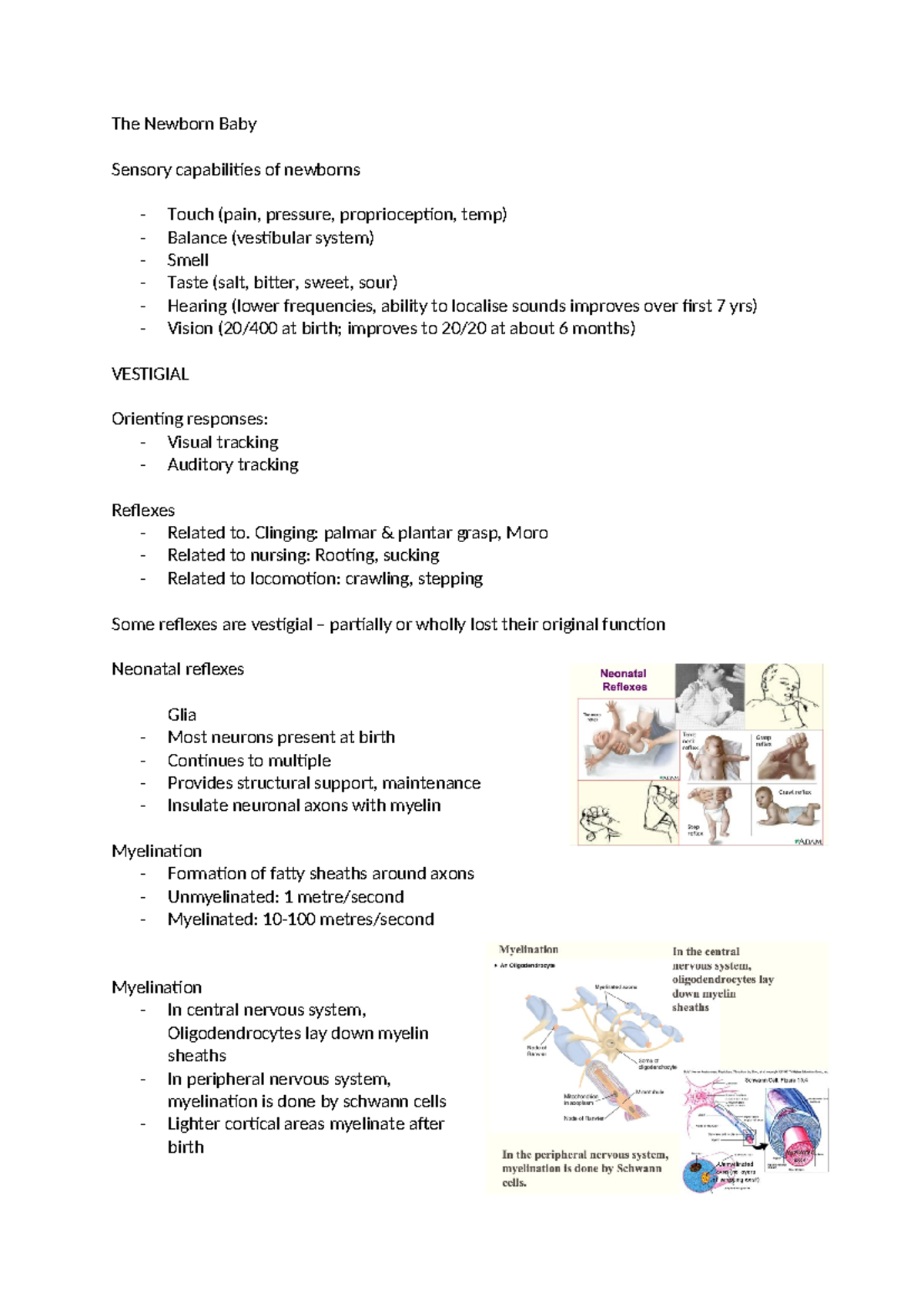 Developmental Psychology Notes: Newborn Baby Insights - Studocu