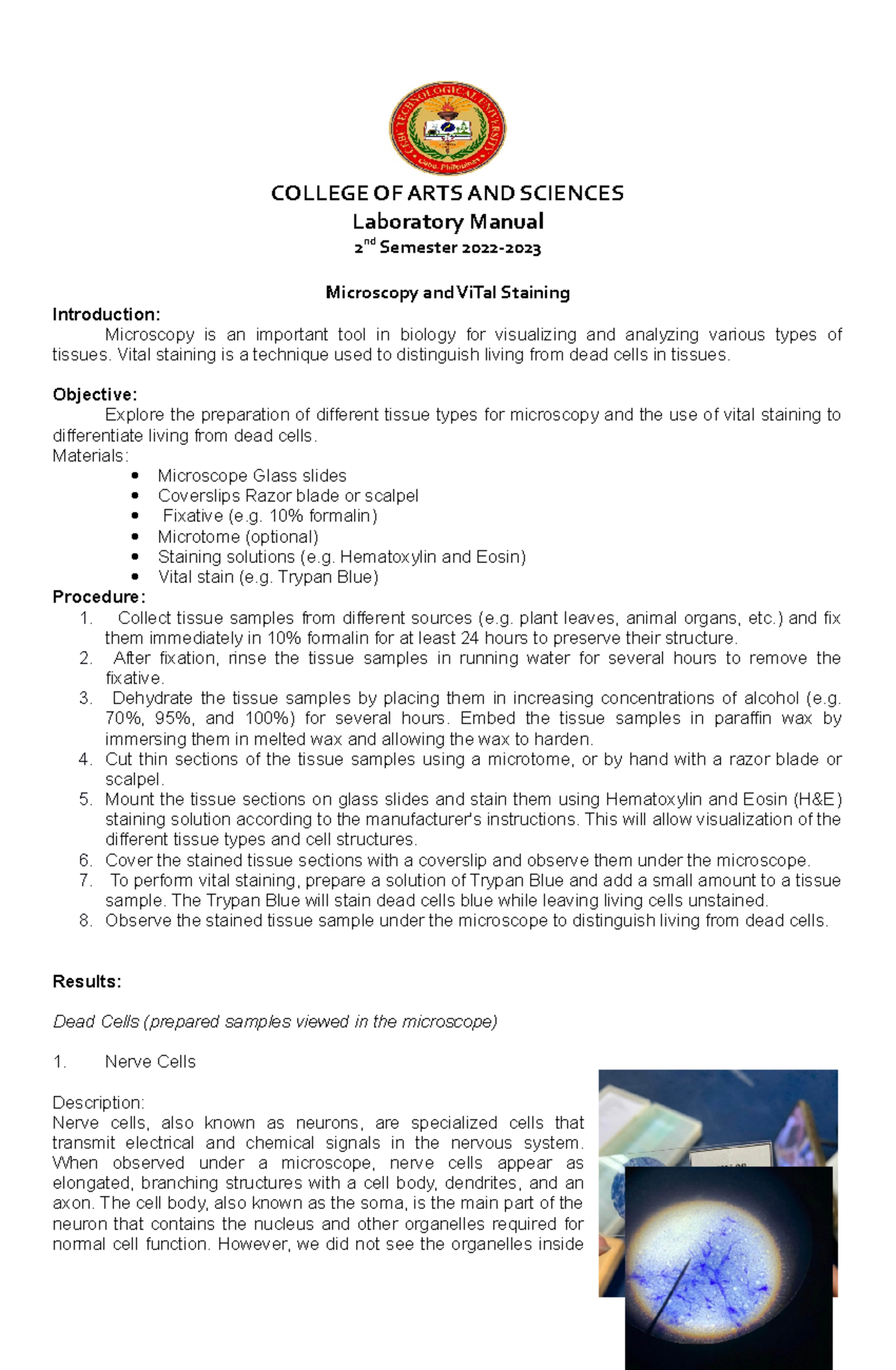 Group 1 Exercise 1: Microscopy & Vital Staining Lab Manual - Studocu