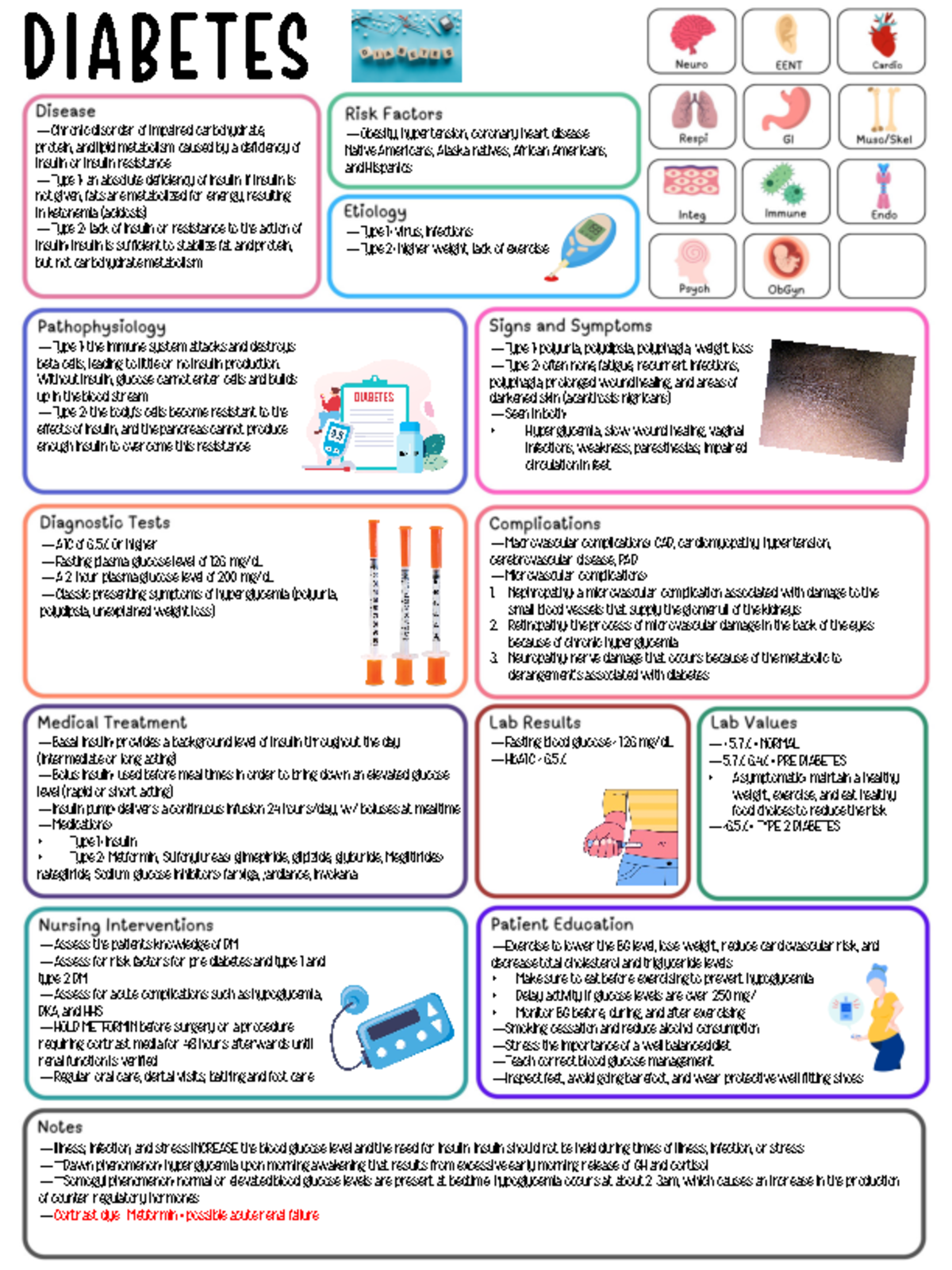 Chapter 53 - Diabetes Study Guide: Types, Complications, and Management ...