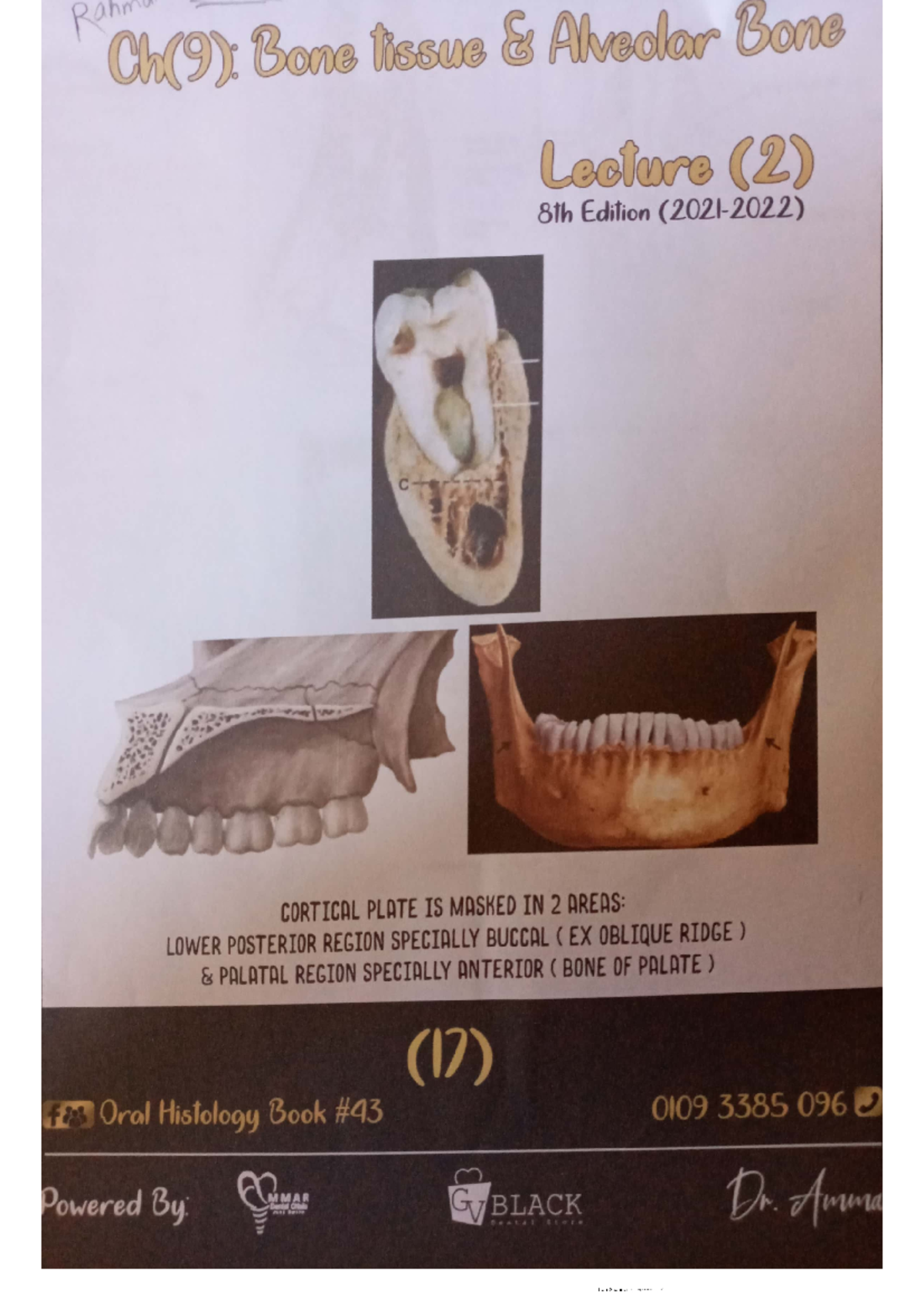 Bone 2 - Oral Biology Study Notes - Studocu