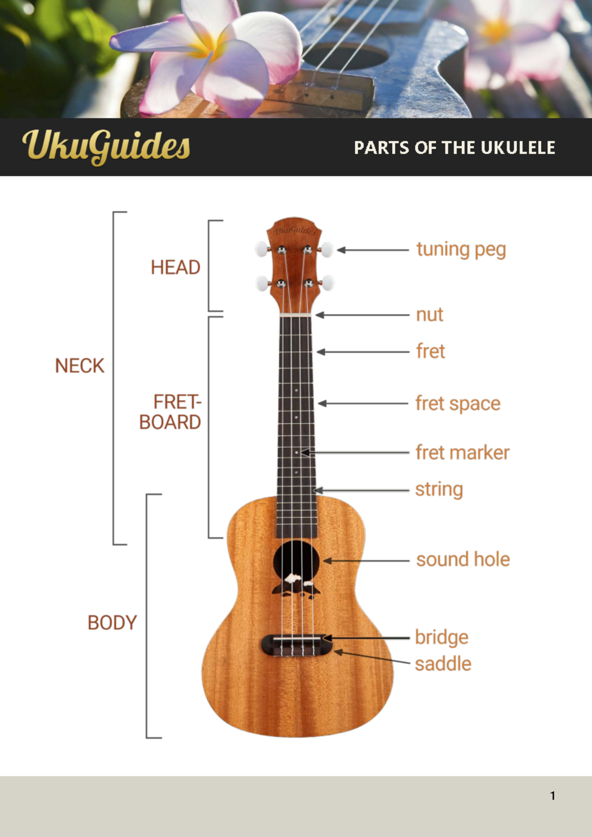 Ukulele Parts Guide: Understanding Your Instrument - Studocu