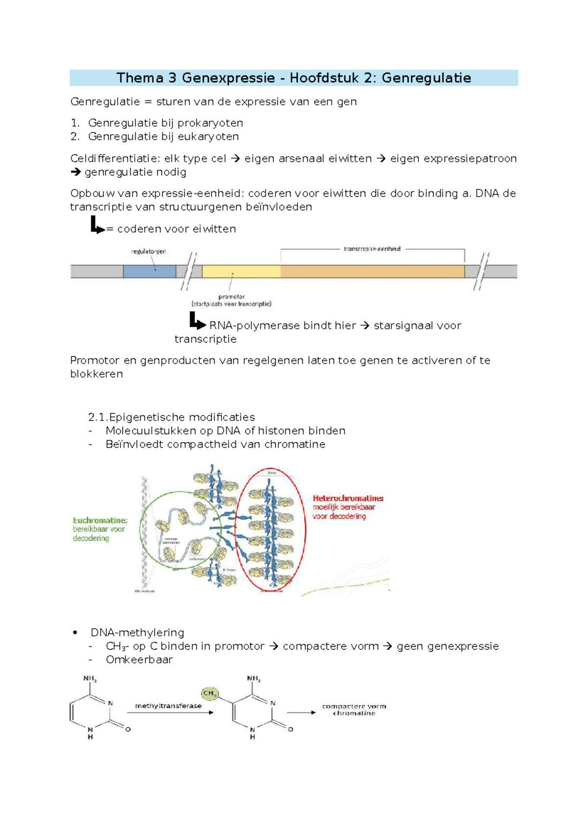 Thema 3 Genexpressie Hoofdstuk 2: Genregulatie en Celdifferentiatie ...