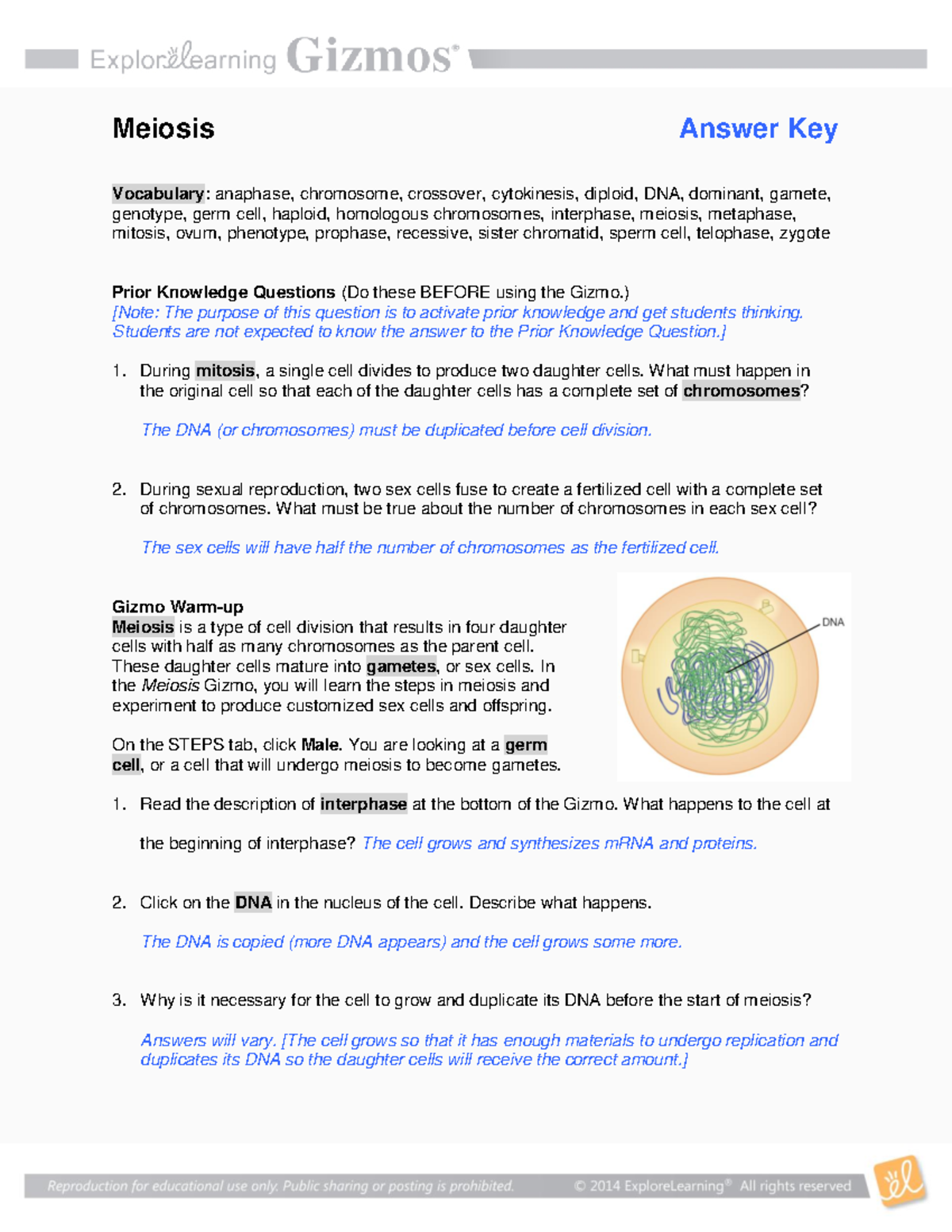 Meiosis Gizmo Answer Key - Bio 101 Final Exam - Studocu