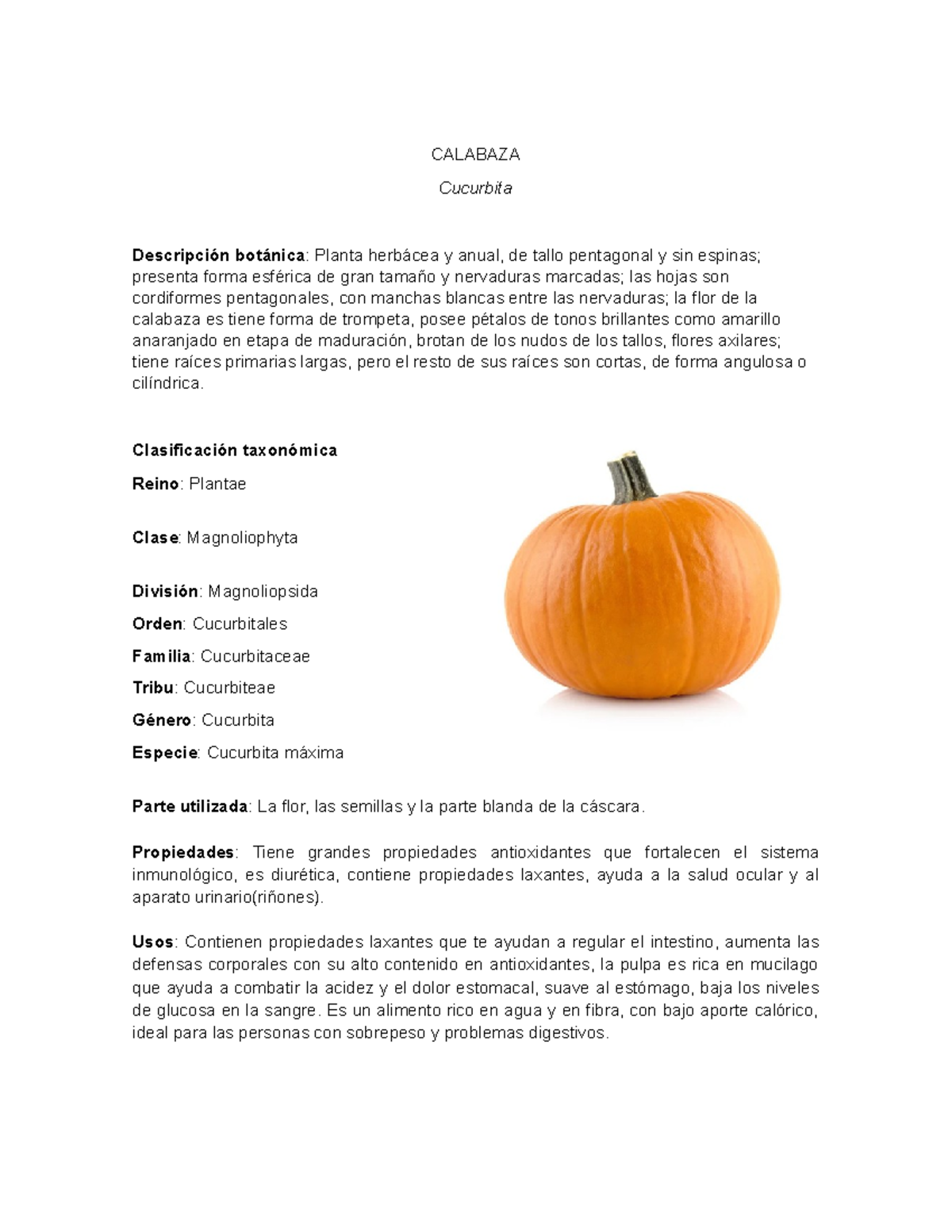 Estudio sobre la Calabaza (Cucurbita máxima): Propiedades y Usos - Studocu