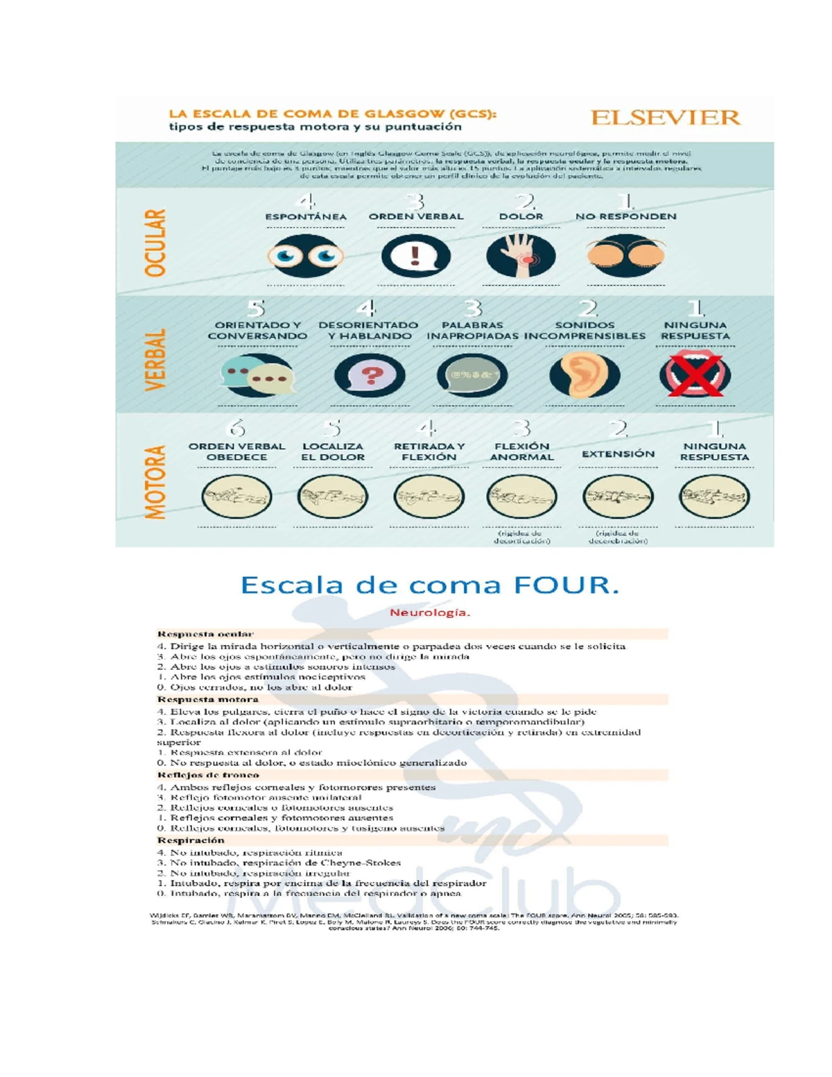 Manual de Goniometría: Valores Normales y Estructura Muscular - Studocu