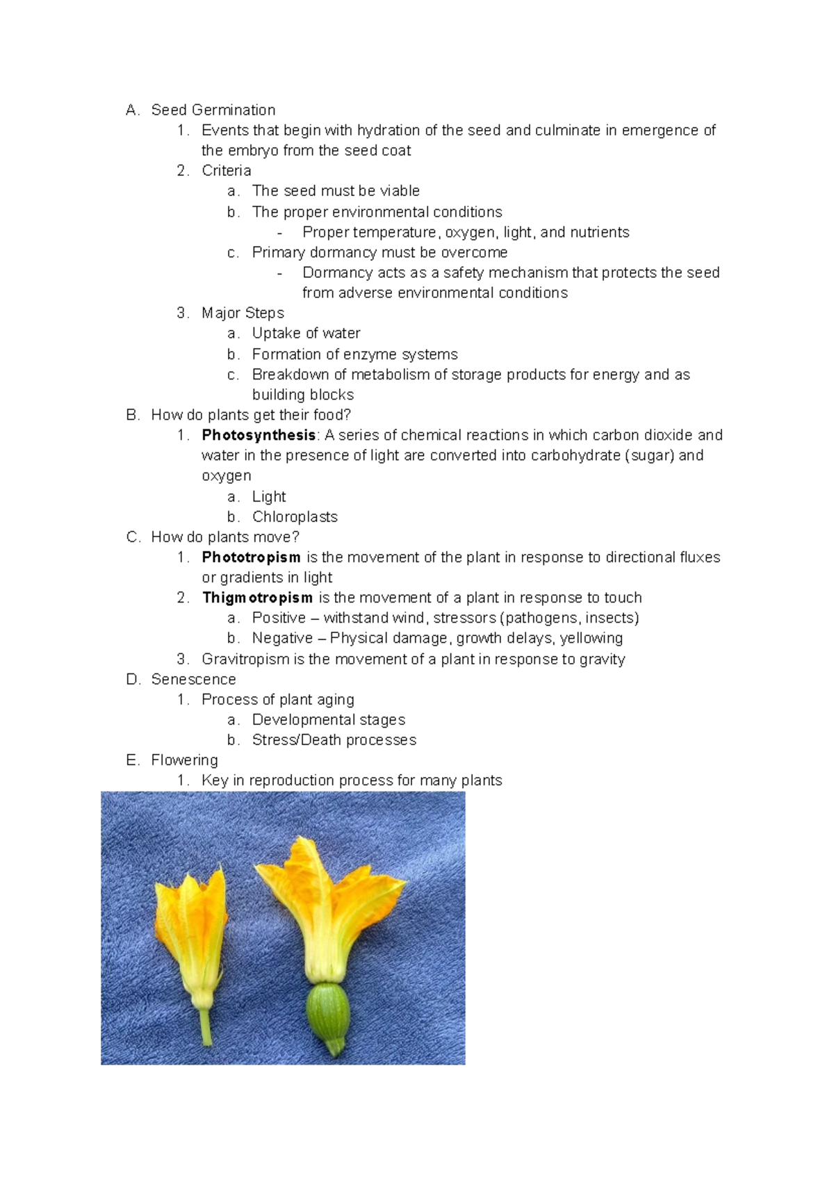 4. Important Plant Processes - A. Seed Germination 1. Events that begin ...