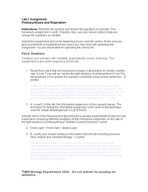 Lab Report I - Investigating Stomata Structure, Function, and Density ...