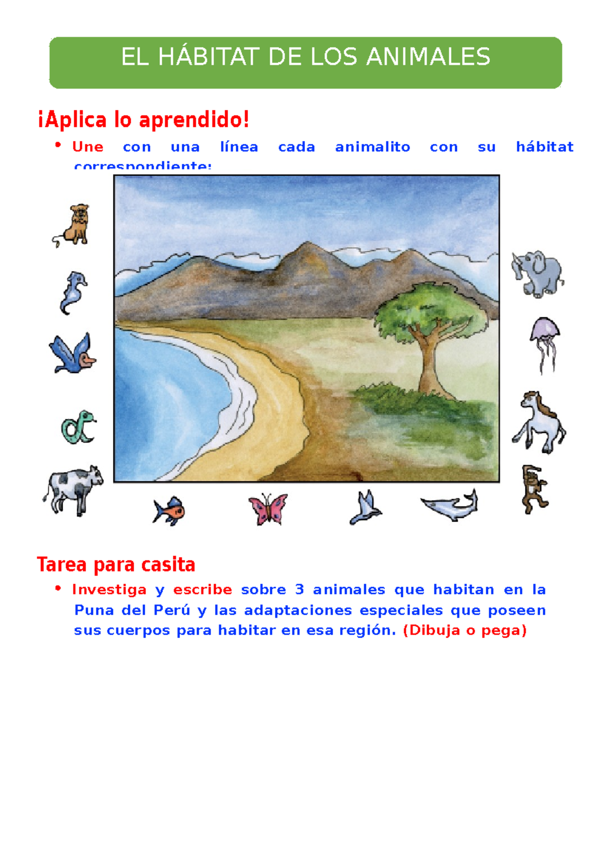 Hábitats de Animales: Actividades y Tareas de Estudio - Studocu