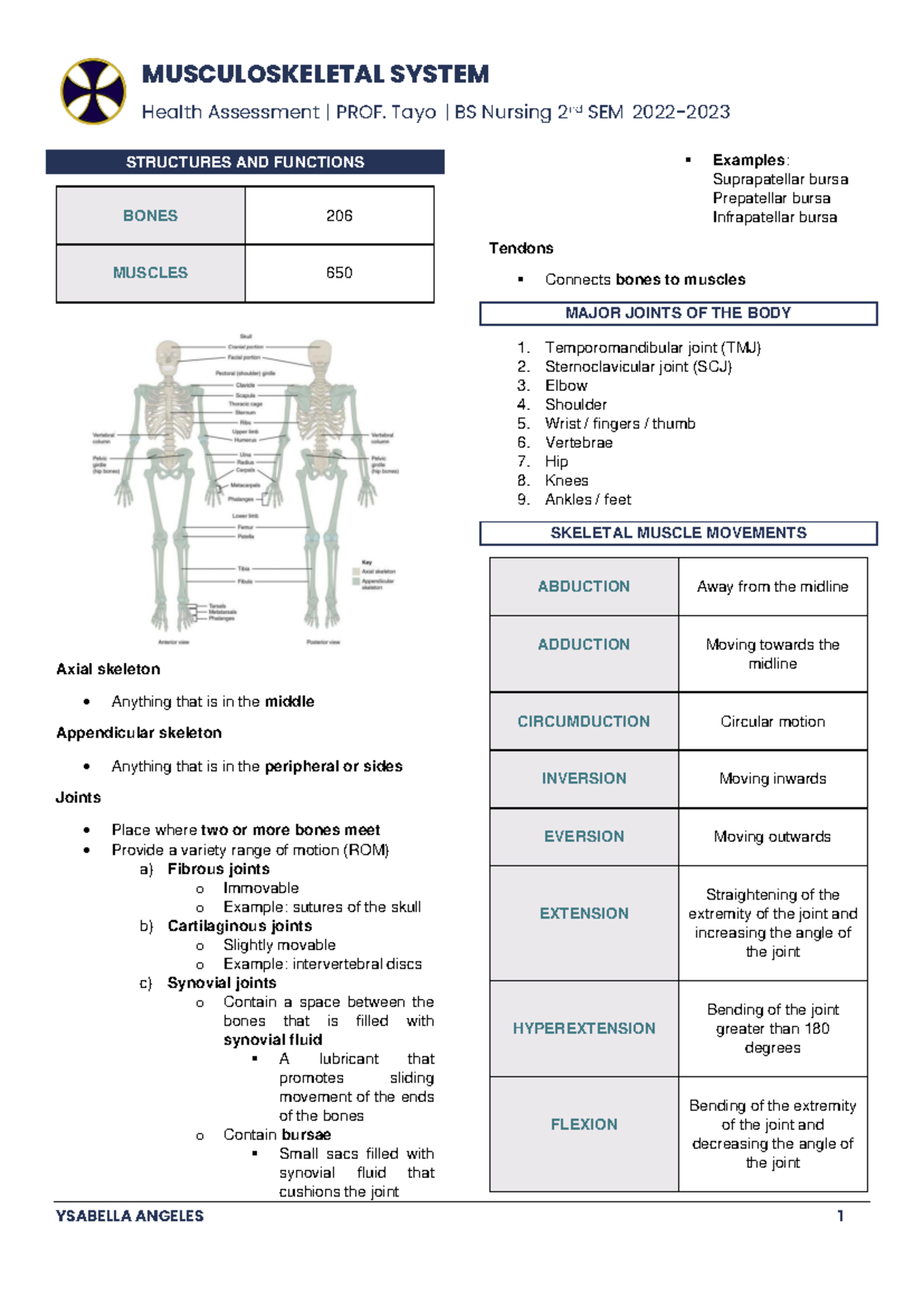 Musculoskeletal System Overview: NCM 101 Health Assessment Guide - Studocu