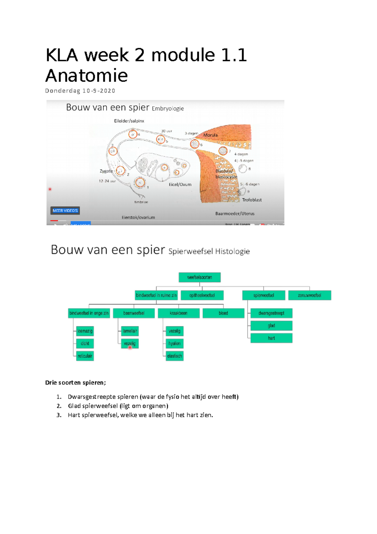 KLA Week 2 Module 1.1: Anatomie van Spieren en Bewegingsplanning ...