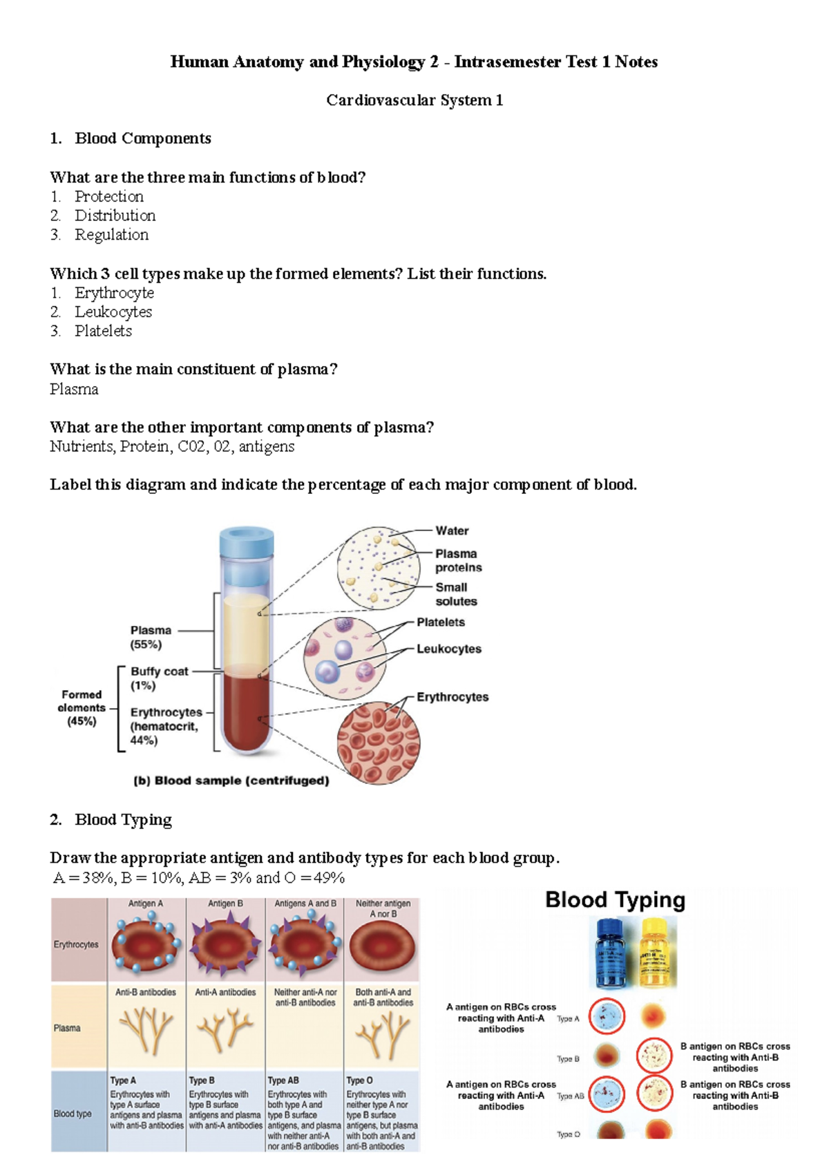 Notes - Human Anatomy and Physiology 2 - Intrasemester Test 1 Notes ...