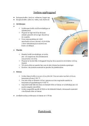 Uppgift om den demografiska transitionen - Geografi 1 - Geografi 1 ...