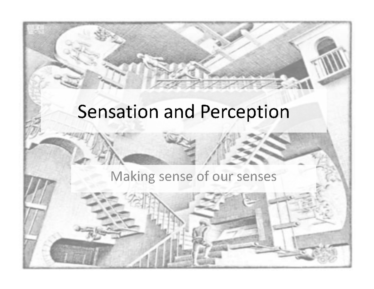 Sensation and Perception Overview for PSYC 1010 Lecture F24 - Sensation ...