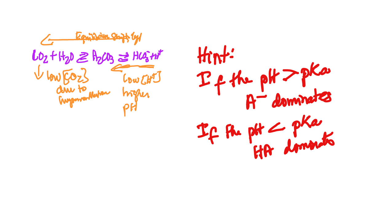 Title: Chemistry Buffer Solutions: pH Calculation Exercises - BIOL 1150 ...