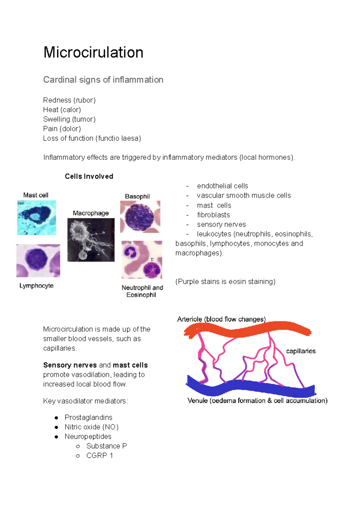 Microcirculation and Inflammation: L1 Notes on Cardinal Signs - Studocu
