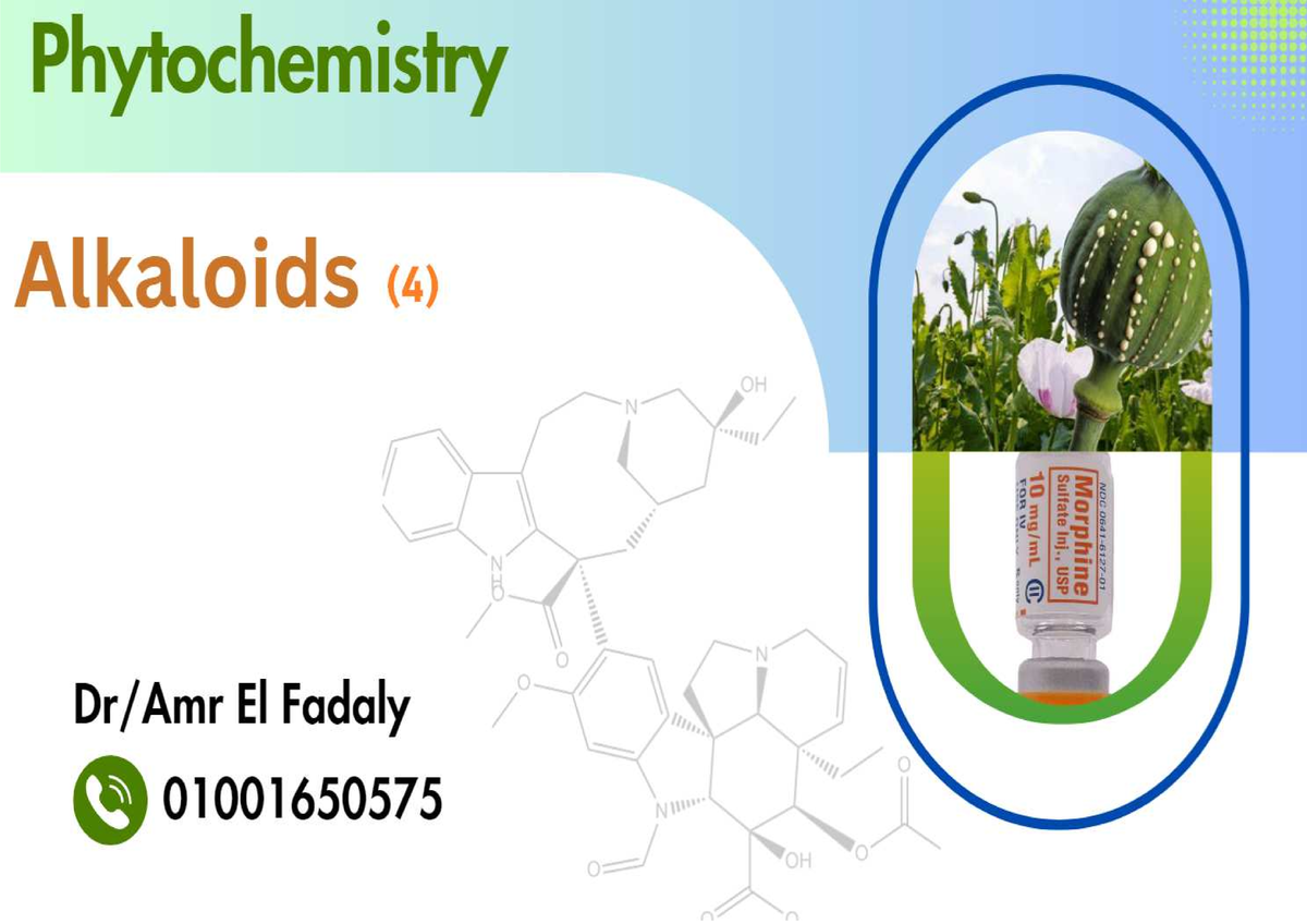 2024 Alkaloids Overview: Classification and Applications Notes - Studocu