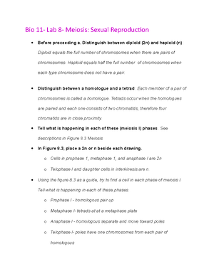 Lab 4 Questions - lab answers - Lab 4: How Enzymes Function Pre-Lab ...