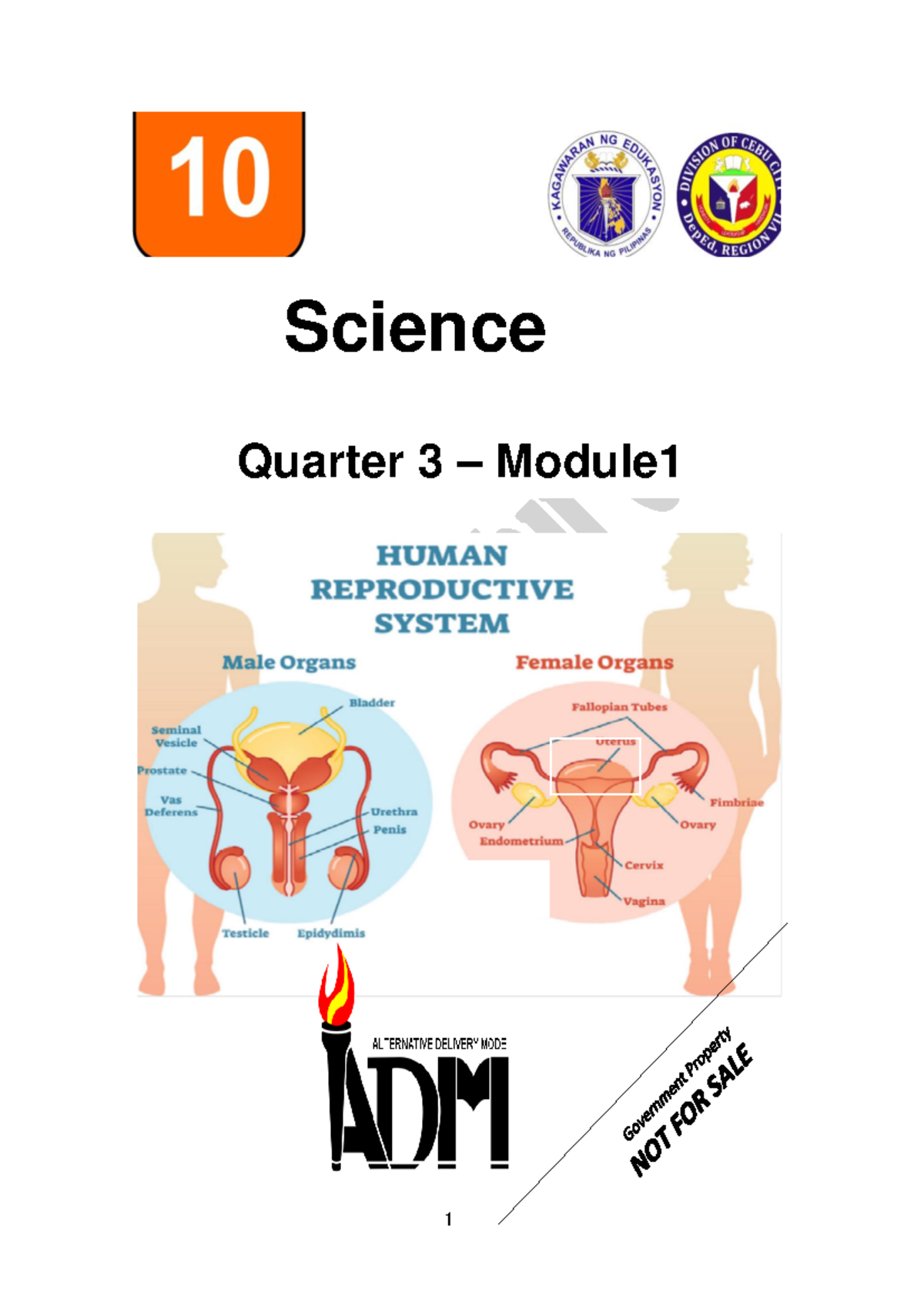 1 Q3 Science - Science Quarter 3 – Module Quarter 3 - Module 1 : Male and Female Reproductive ...