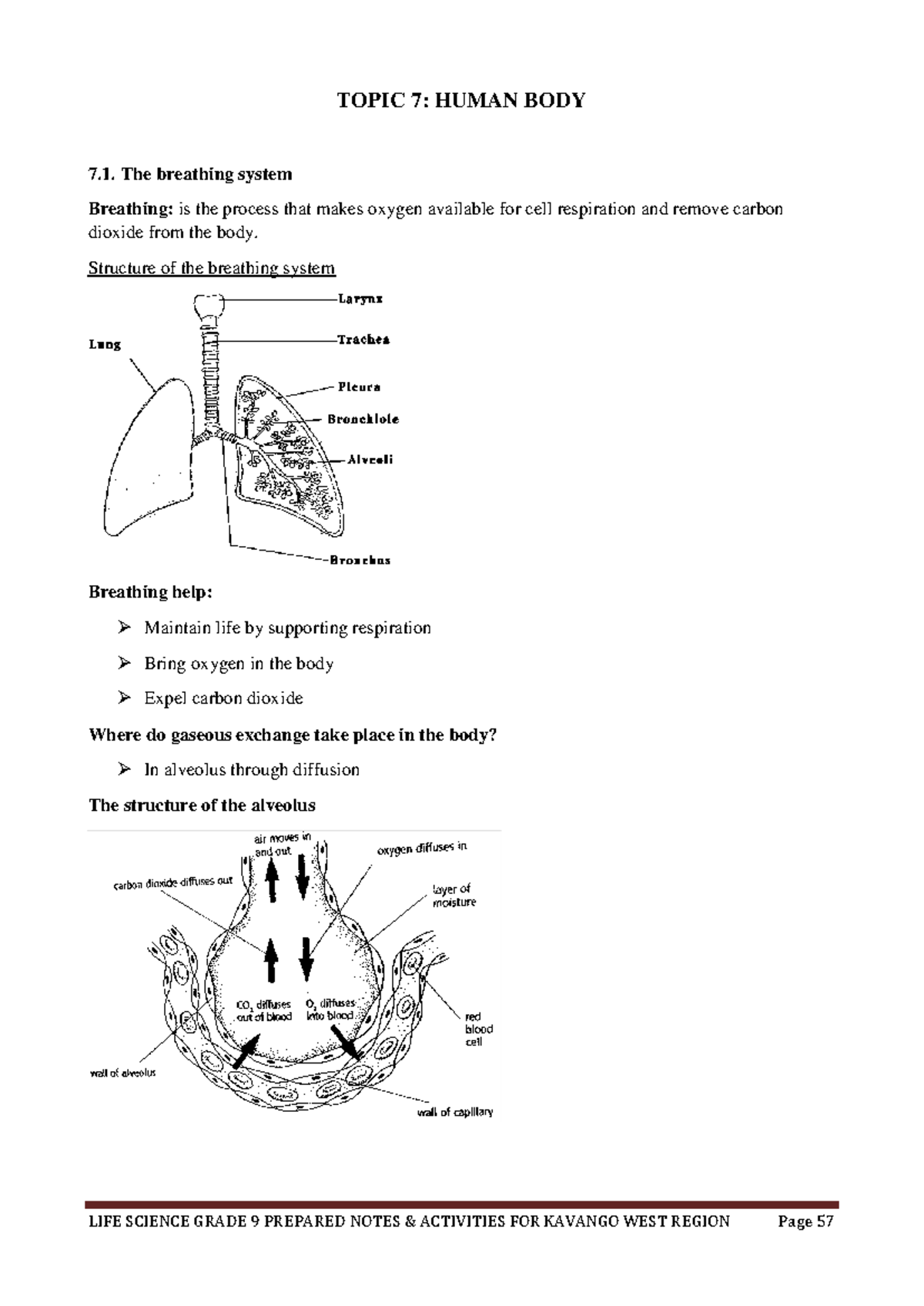LIFE SCIENCE GRADE 9: Breathing & Circulatory Systems Notes - Studocu