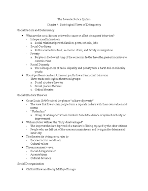 The Juvenile Justice System Chapter 14 - The Juvenile Justice System ...