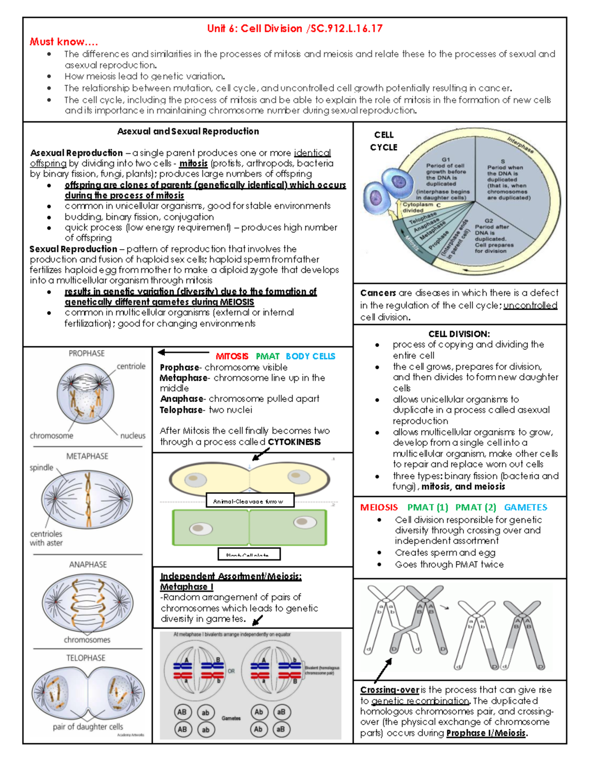 Cell Division & Reproduction: Mitosis vs. Meiosis Overview (SC.912.L.16 ...
