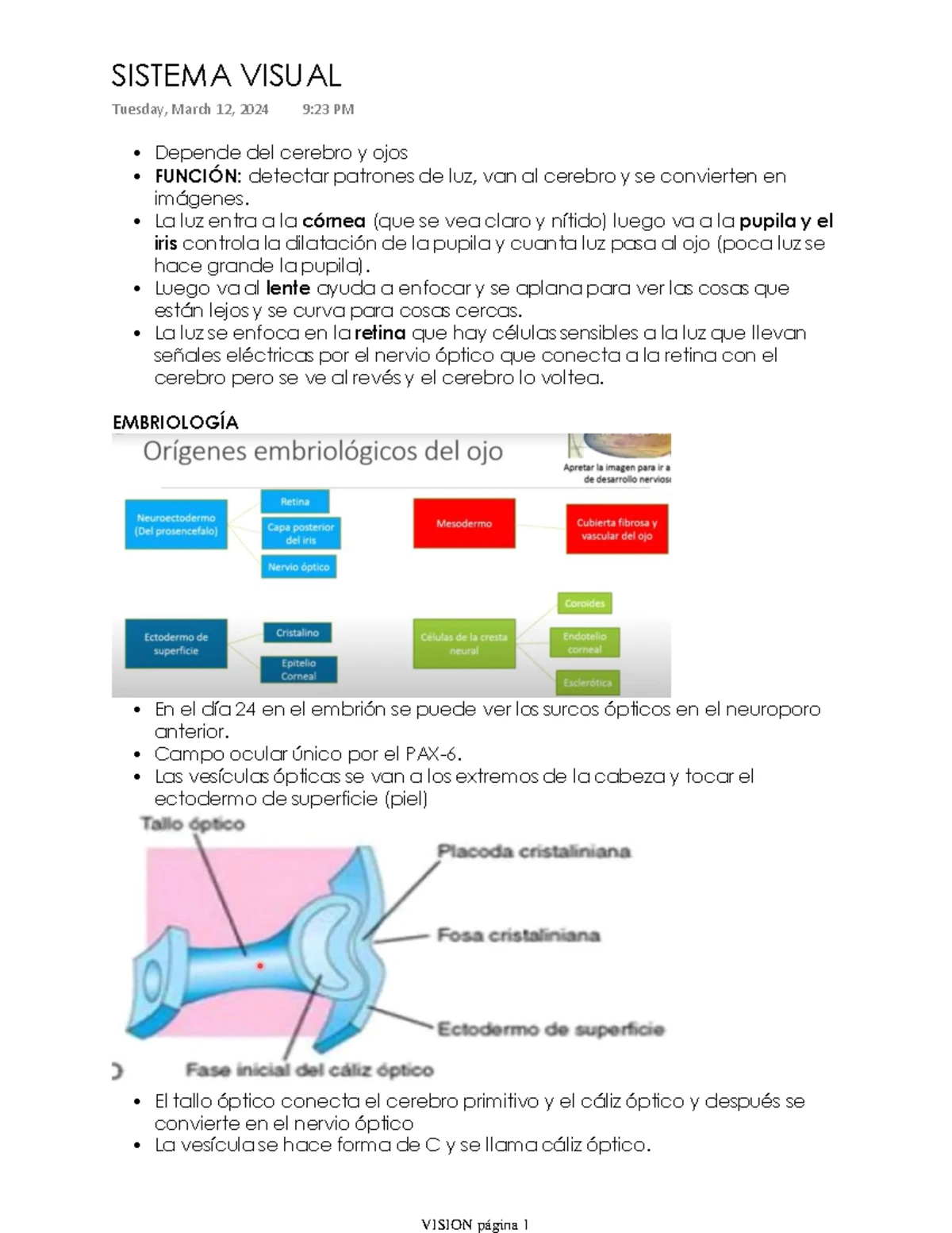Examen de Agudeza Visual: Procedimiento e Interpretación Clínica - Studocu
