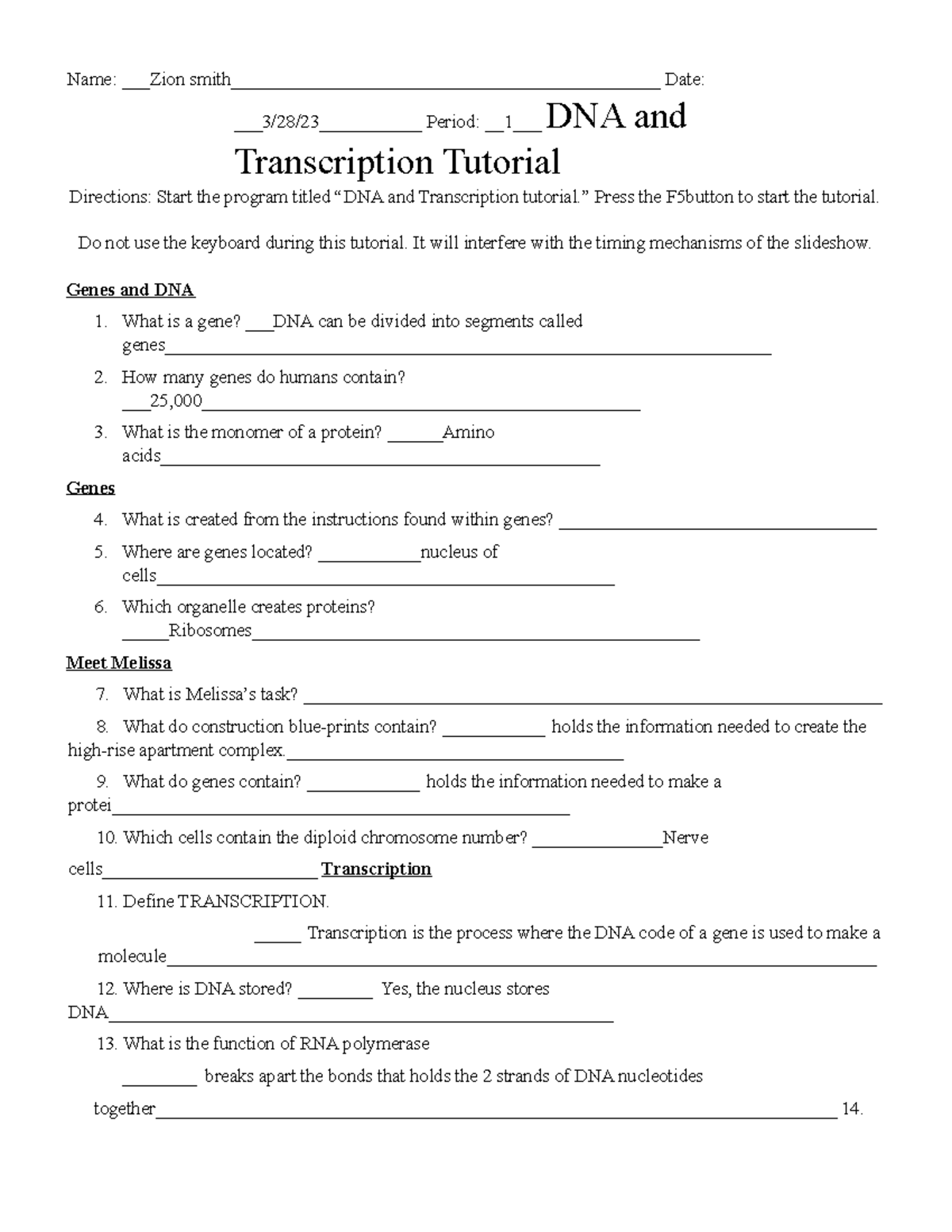 DNA Transcription Tutorial - Class Notes for Biology 101 - Studocu