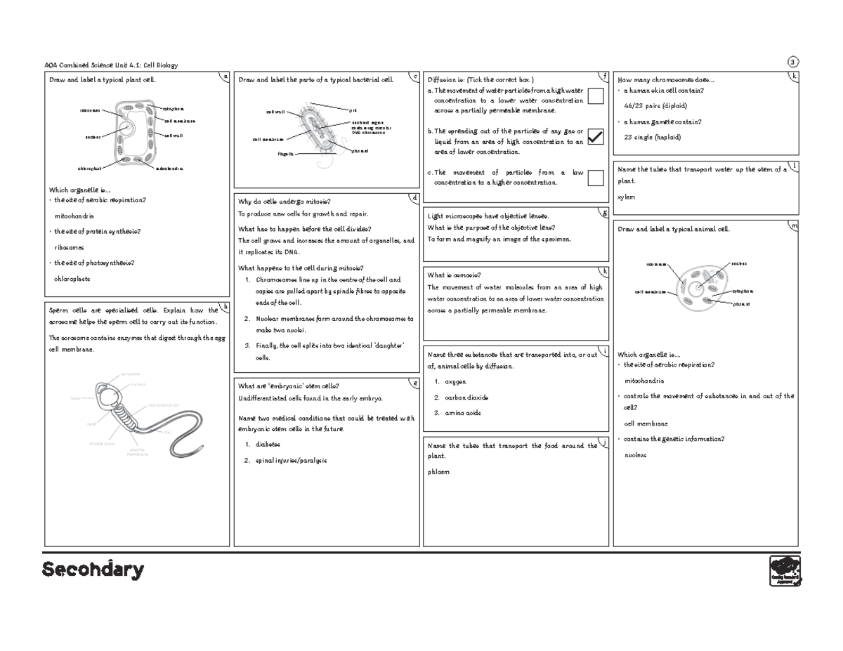 AQA Combined Science Unit 4 Cell Biology Revision Notes - Studocu