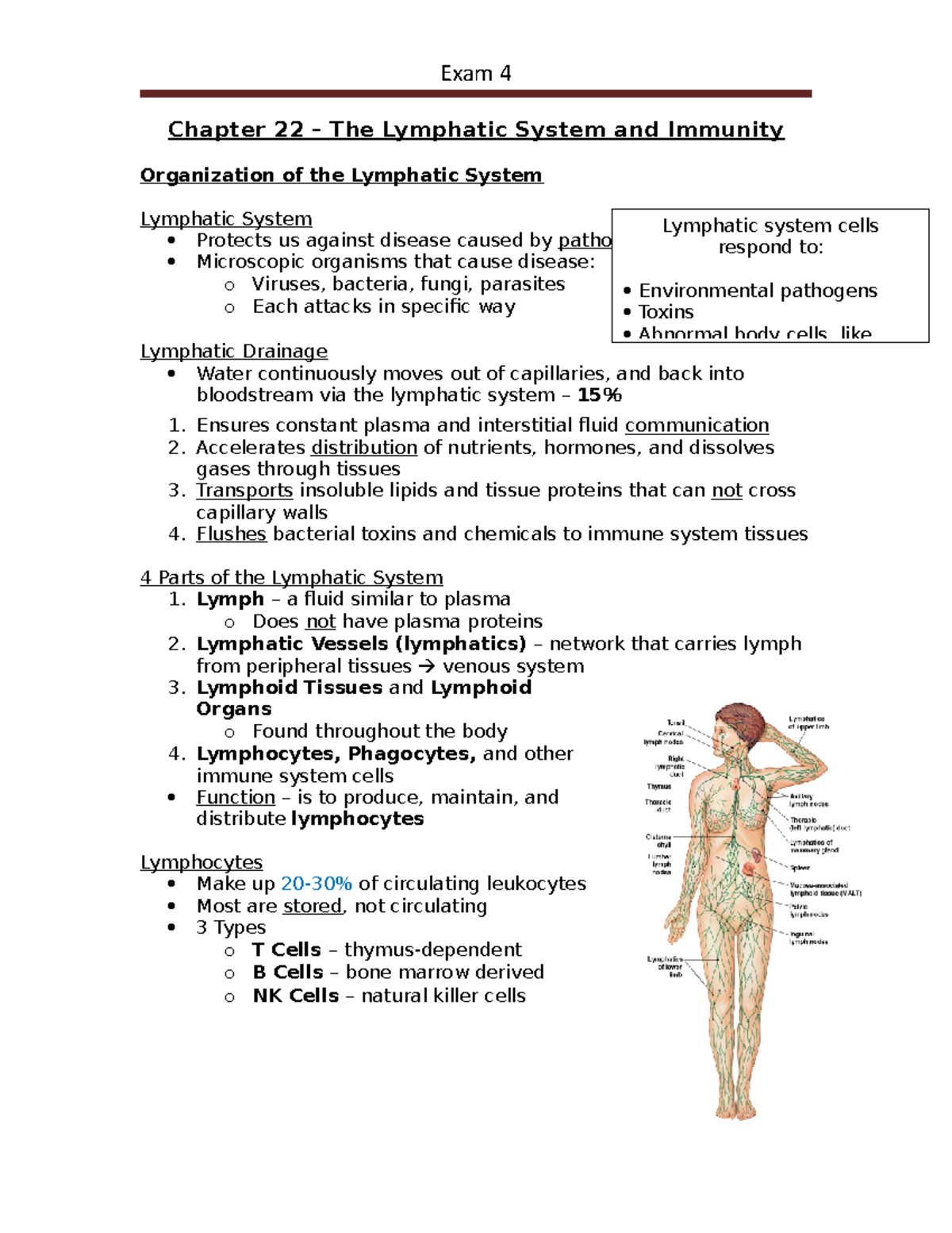 Exam 4 - Lecture notes Chapter 22, Chapter 23 - Exam 4 Chapter 22 The ...