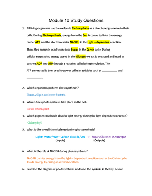 C190.v3 module 13 study questions - Module 13 Mitosis 1 Module 13 Study ...