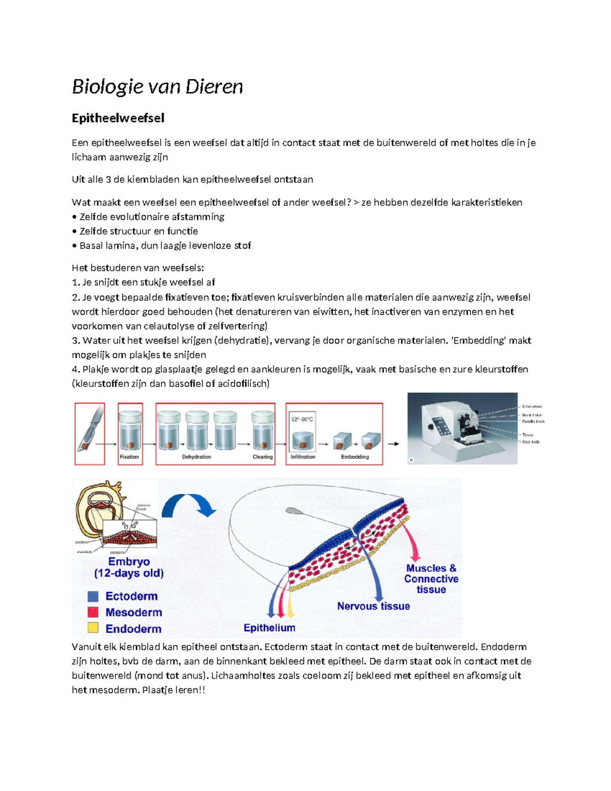 Biologie van Dieren: Epitheel- en Steunweefsel Concepten - Studeersnel