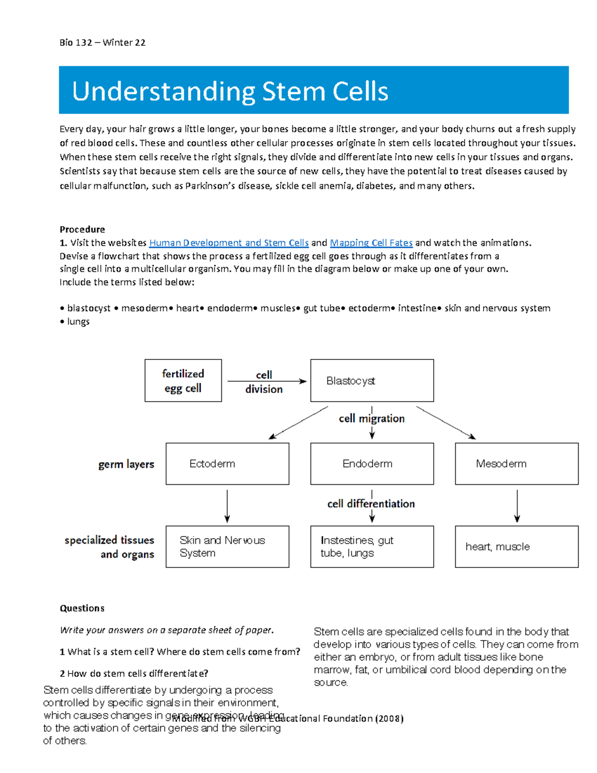 Bio 132 W22 Final Exam Notes: Understanding Stem Cells and ...
