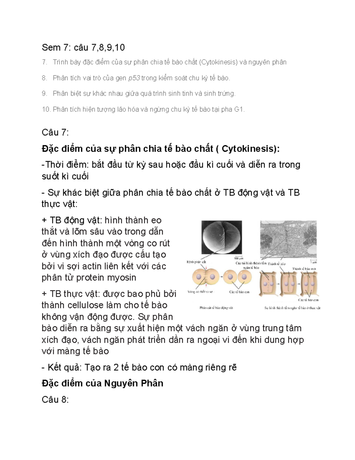 Sem-7 - Cytokinesis, Gene p53, and Cell Cycle Control Notes - Studocu