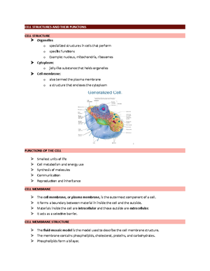 Tissues Notes - anatomy physiology part 1 - FUNDAMENTAL TYPES OF ...