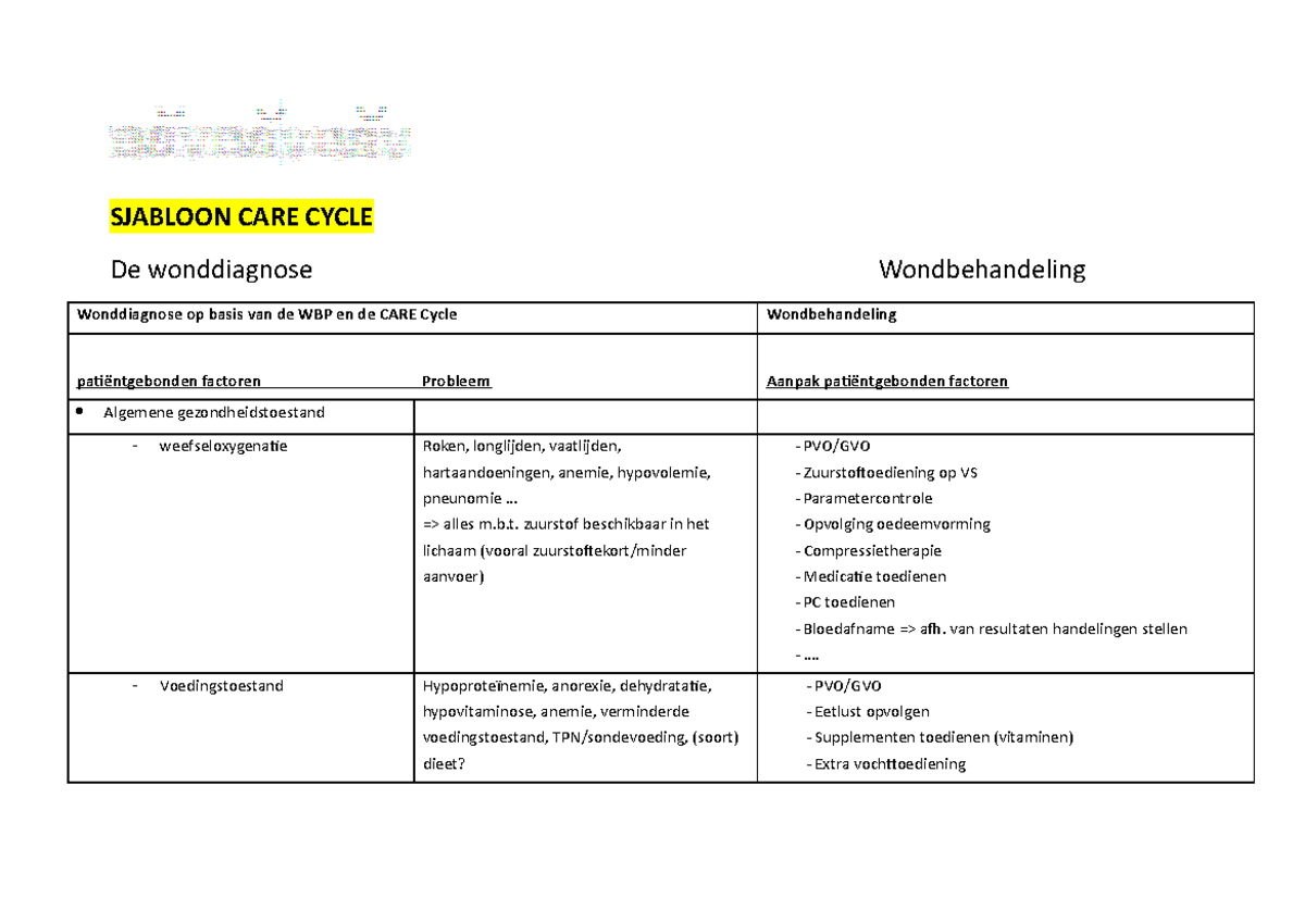 Hulpmiddel care cycle (nieuw sjabloon) - SJABLOON CARE CYCLE De ...