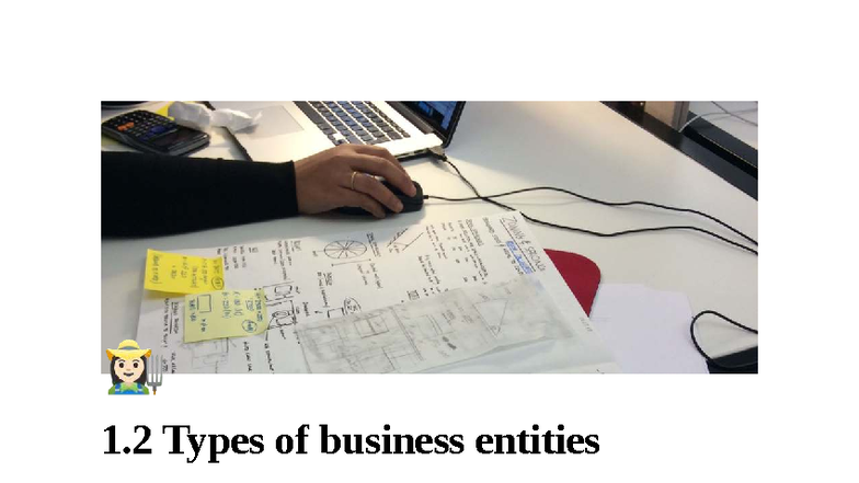 Business Entities Overview: Types and Characteristics - Studocu