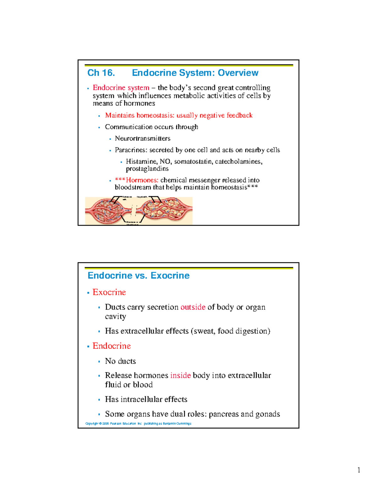 Chapter 16 (Part A) - Endocrine System Overview Test Bank Med Surg ...