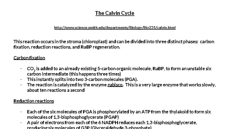 Calvin Cycle Overview: Mechanism & Stages Explained (BIO 101) - Studocu