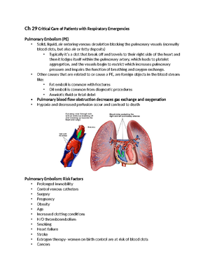 Adult Electrolyte Replacement Protocol Example - PHOSPHATE If K less ...