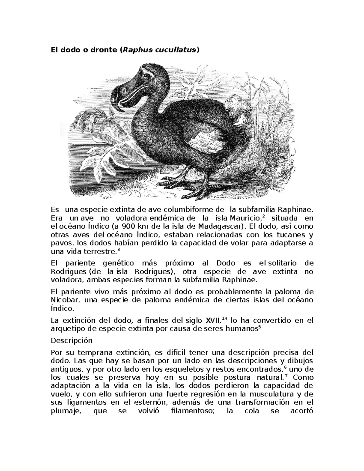El dodo - investigacion - El dodo o dronte (Raphus cucullatus) Es una ...