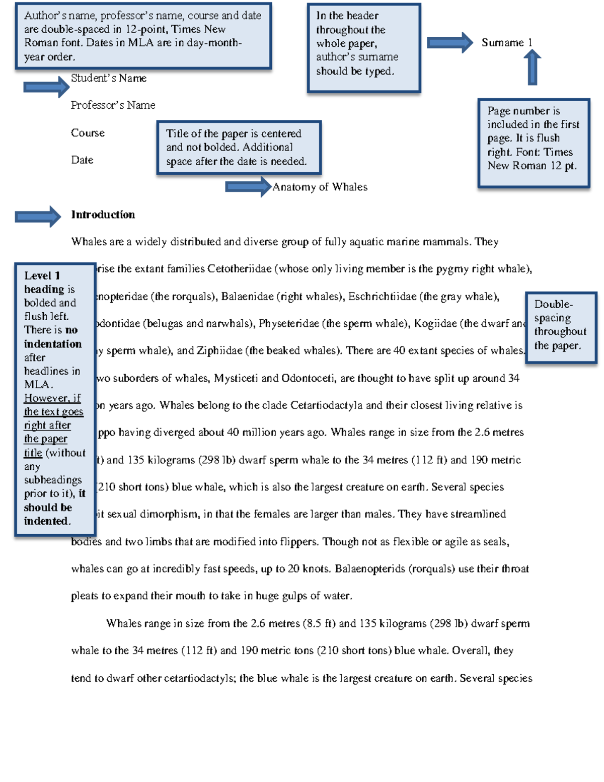 MLA 8th ed. - MLA format - Surname 1 Student’s Name Professor’s Name ...